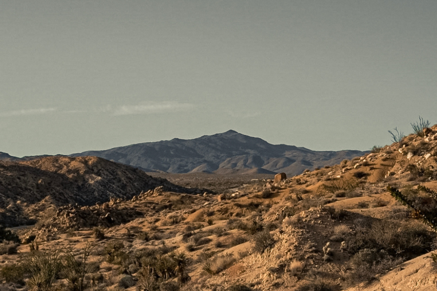 HOW TO INSTALL BB LIGHTROOM PRESETS – Blackstone Bespoke